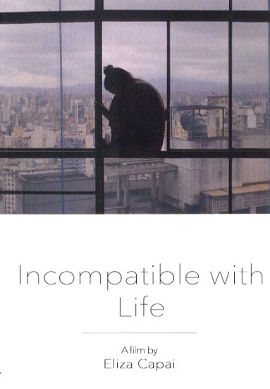 Movies | The County Library