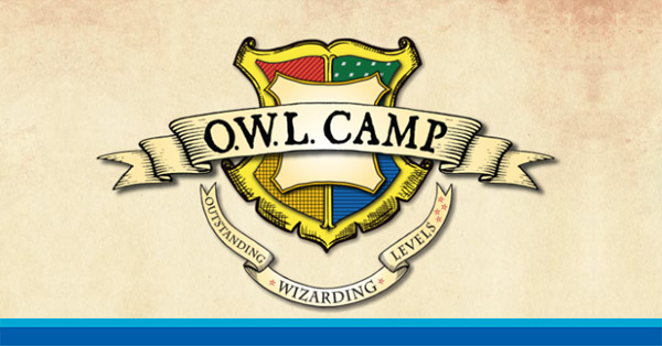 Owl Camp | The County Library